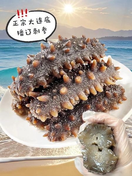 辽参有什么功效_辽参适合什么人吃-第1张图片-山城妙识