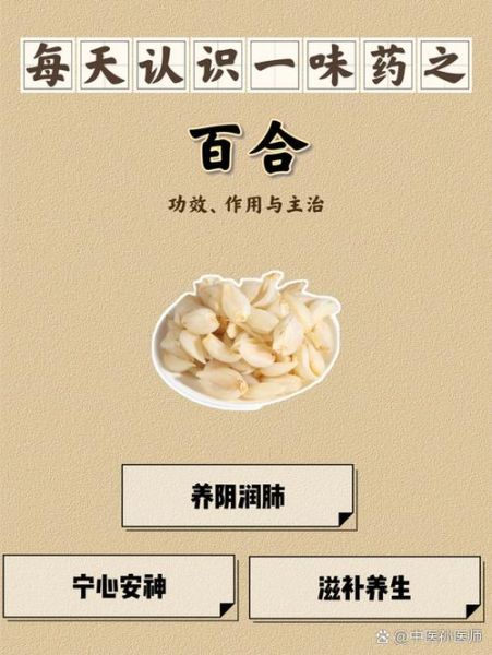 百合功效与作用_百合禁忌症有哪些-第2张图片-山城妙识