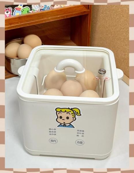 蒸蛋器怎么用_蒸蛋器使用教程视频-第1张图片-山城妙识