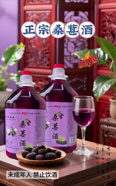 桑葚酒的功效与作用_桑葚酒每天喝多少合适-第2张图片-山城妙识