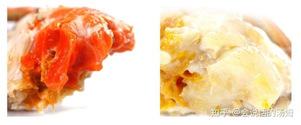 2021大闸蟹价格暴涨原因_还能吃得起吗-第3张图片-山城妙识