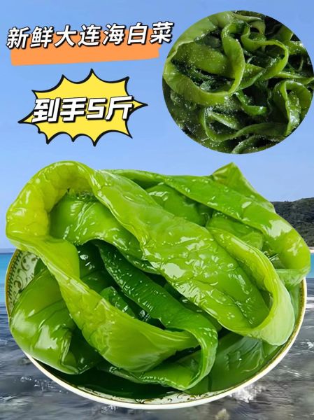 海白菜图片大全_海白菜长什么样-第1张图片-山城妙识