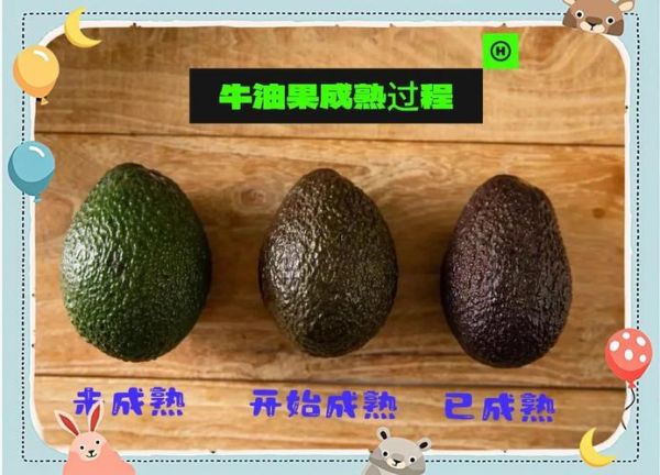牛油果怎么看熟不熟_如何判断牛油果成熟度-第1张图片-山城妙识