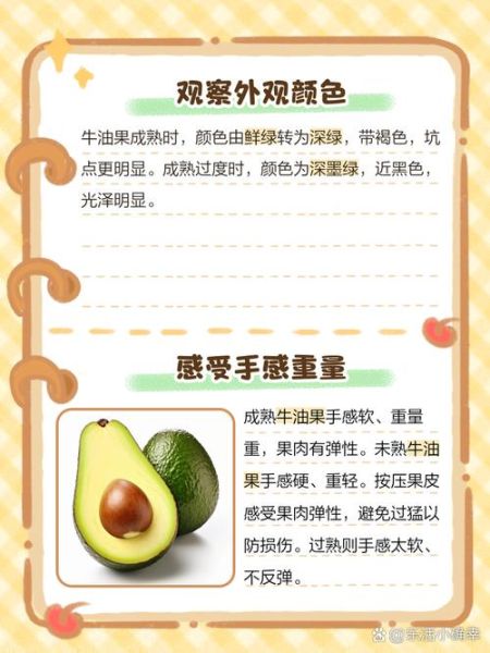 牛油果怎么看熟不熟_如何判断牛油果成熟度-第3张图片-山城妙识