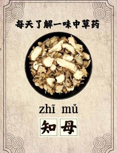 知母的功效与作用是什么_知母怎么吃效果最好-第1张图片-山城妙识