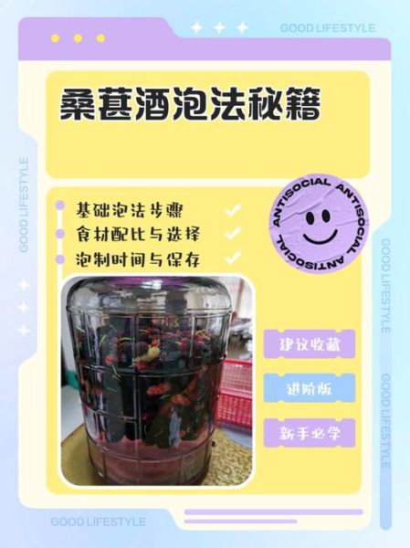 桑葚酒怎么泡_桑葚酒制作比例是多少-第1张图片-山城妙识