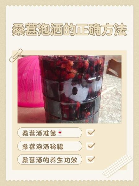 桑葚酒怎么泡_桑葚酒制作比例是多少-第3张图片-山城妙识