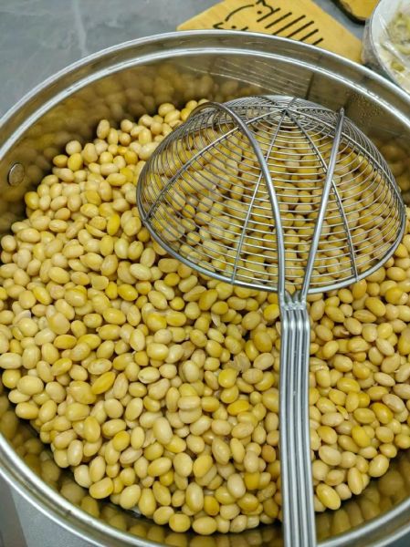 豆子图片大全_如何挑选高清豆子照片-第3张图片-山城妙识