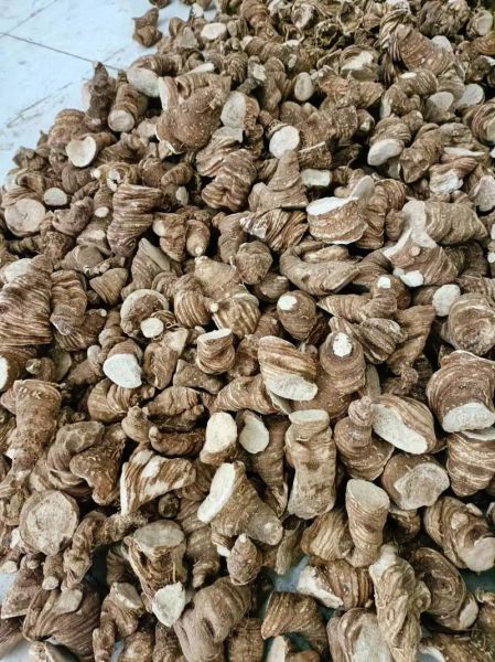 重楼多少钱一斤_重楼价格行情-第1张图片-山城妙识