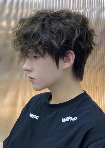 男生烫发发型图片_男生烫发适合什么脸型-第1张图片-山城妙识