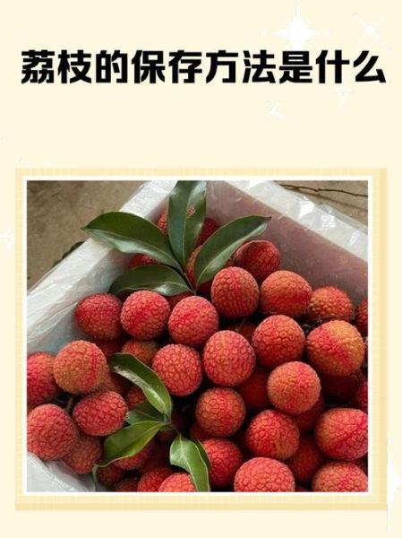 荔枝怎么保存时间长_荔枝怎样保存才新鲜-第1张图片-山城妙识