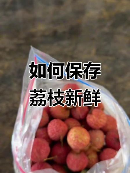 荔枝怎么保存时间长_荔枝怎样保存才新鲜-第3张图片-山城妙识