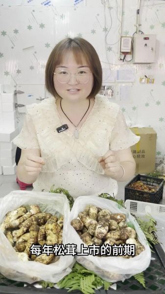 黑松茸长什么样_黑松茸真假怎么分辨-第3张图片-山城妙识 黑松茸长什么样_黑松茸真假怎么分辨-第3张图片-山城妙识