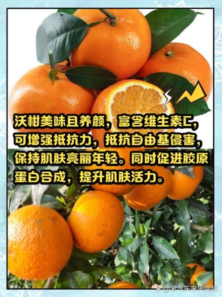 芦柑和沃柑的区别_哪个更甜更好吃-第3张图片-山城妙识