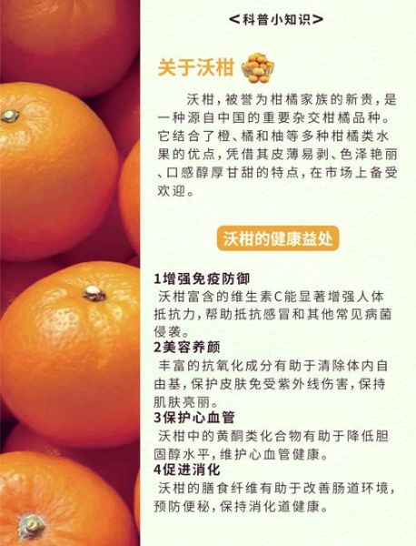 芦柑和沃柑的区别_哪个更甜更好吃-第1张图片-山城妙识