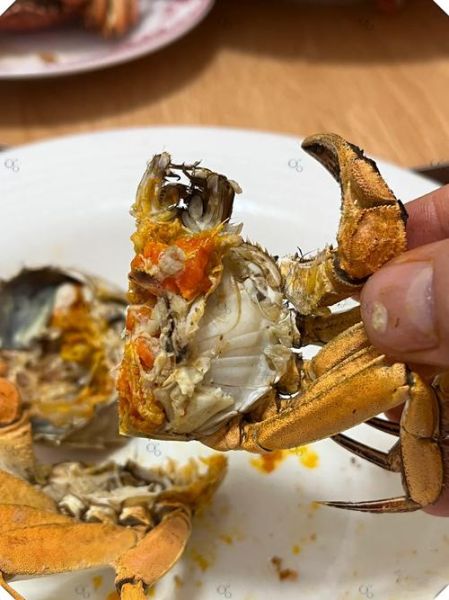 螃蟹怎么清洗_清蒸螃蟹的做法步骤-第3张图片-山城妙识