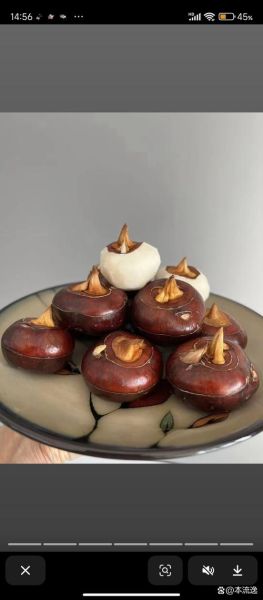 马蹄子图片大全_马蹄子长什么样-第3张图片-山城妙识