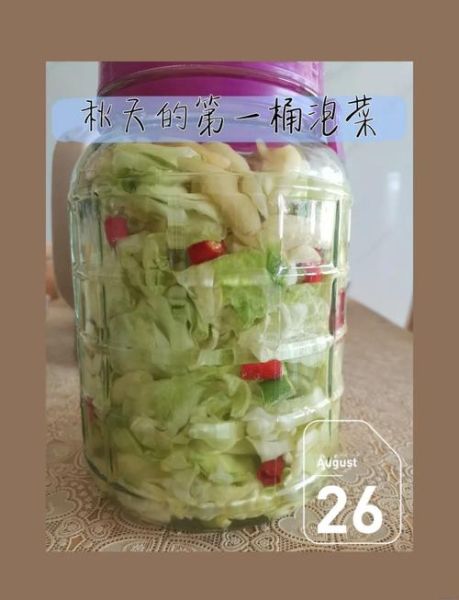 家庭泡菜怎么做_泡菜制作常见问题-第2张图片-山城妙识