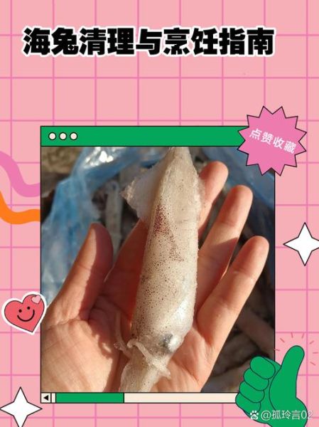 海兔子怎么清洗_海兔子清洗视频教程-第1张图片-山城妙识