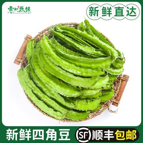 龙豆长什么样子_龙豆图片怎么识别-第3张图片-山城妙识