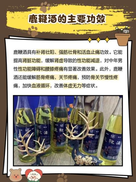 鹿鞭酒的功效与作用_鹿鞭酒怎么泡效果最好-第1张图片-山城妙识