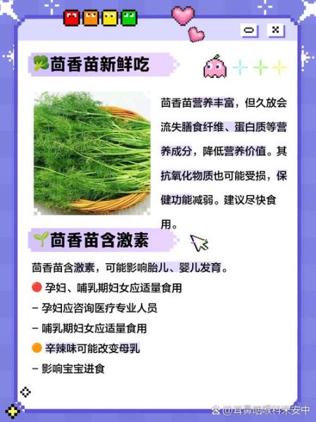 茴香苗的功效与作用_茴香苗的营养价值有哪些-第3张图片-山城妙识