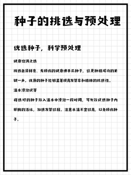 佛手瓜怎么留种子_佛手瓜留种子的正确方法-第3张图片-山城妙识