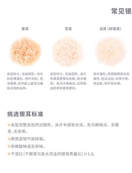 银耳怎么泡发_银耳怎么煮出胶-第1张图片-山城妙识