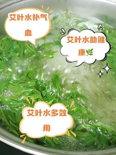 喝艾叶煮水有什么好处_艾叶水能天天喝吗-第1张图片-山城妙识