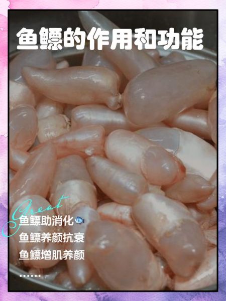 鱼鳔读音怎么读_鱼鳔拼音是什么-第3张图片-山城妙识