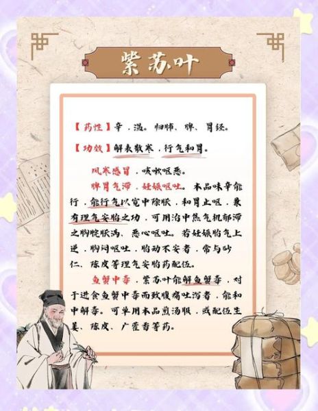 紫苏叶的功效与作用_紫苏叶怎么吃最好-第3张图片-山城妙识