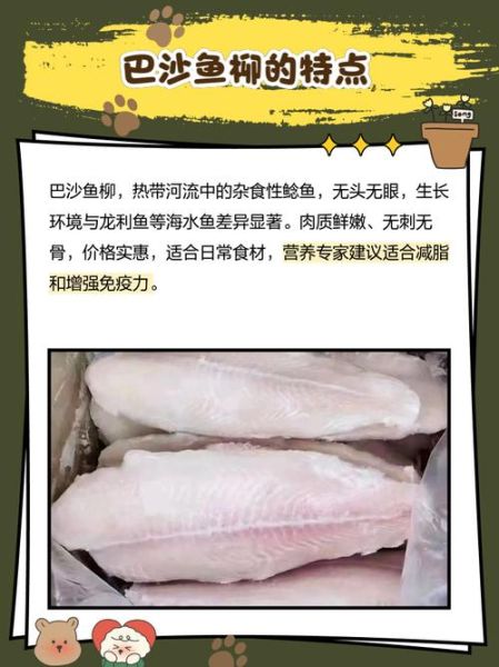 巴沙鱼柳为什么不能吃_巴沙鱼柳的危害有哪些-第1张图片-山城妙识