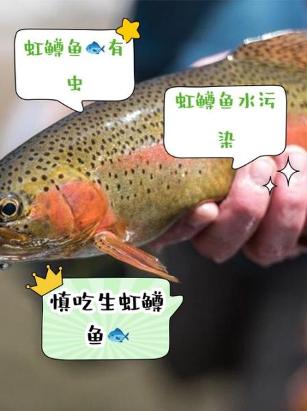 虹鳟鱼生吃安全吗_如何辨别虹鳟鱼生吃的风险-第1张图片-山城妙识