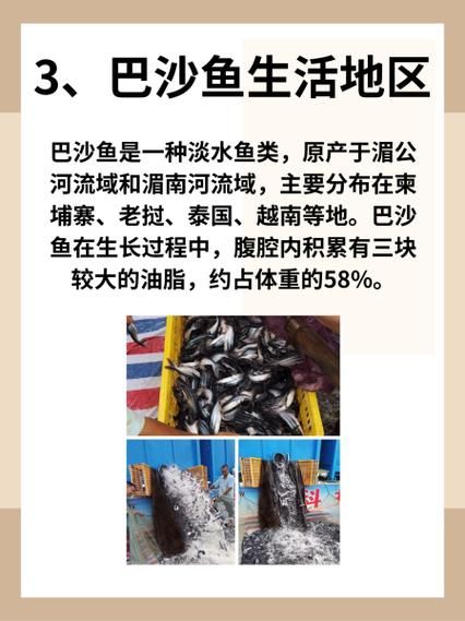 巴沙鱼柳为什么不能吃_巴沙鱼柳的危害有哪些-第3张图片-山城妙识