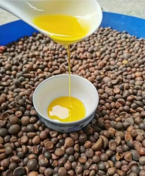 茶油治恶性肿瘤吗_茶油抗癌真相-第1张图片-山城妙识 茶油治恶性肿瘤吗_茶油抗癌真相-第1张图片-山城妙识