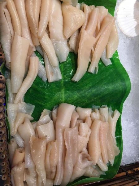 象拔蚌怎么做好吃_象拔蚌价格多少钱一斤-第2张图片-山城妙识