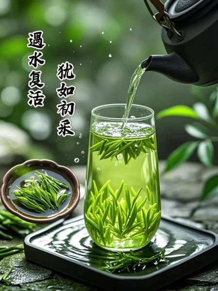 小叶苦丁茶的功效与作用_小叶苦丁茶怎么泡才正确-第2张图片-山城妙识