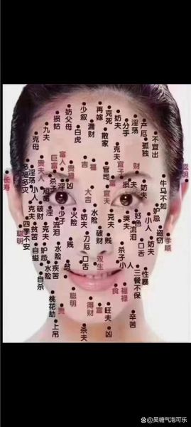 面相痣的位置图解_面相痣代表什么-第3张图片-山城妙识