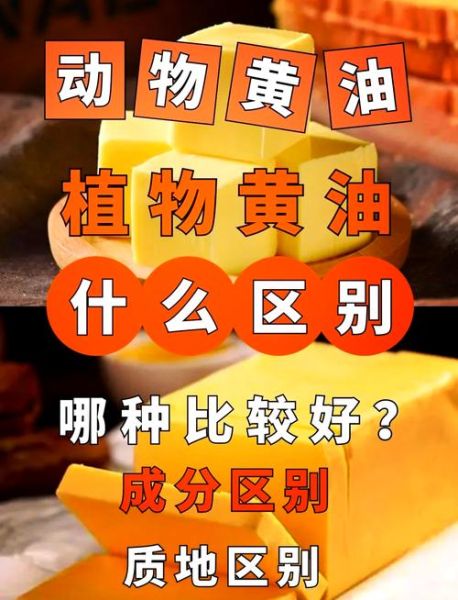 食用黄油是什么原料做成的_黄油和植物黄油区别-第1张图片-山城妙识