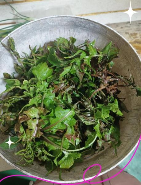 荠菜怎么炒好吃_荠菜炒蛋的做法窍门-第1张图片-山城妙识 荠菜怎么炒好吃_荠菜炒蛋的做法窍门-第1张图片-山城妙识