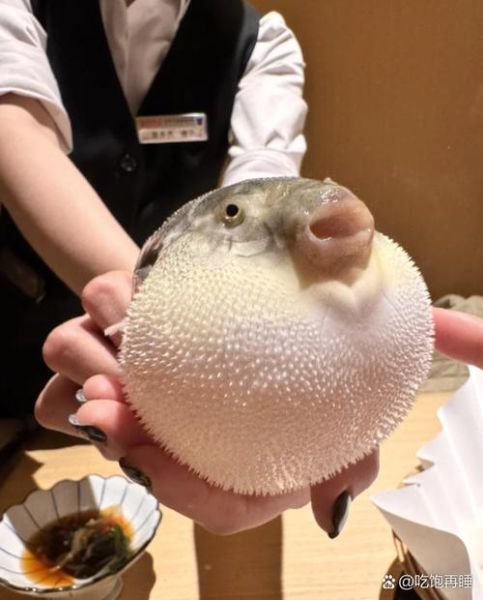 河豚鱼怎么做好吃_家常河豚鱼做法大全-第2张图片-山城妙识