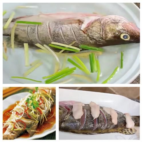 鲑鱼怎么做好吃_鲑鱼吃法大全-第3张图片-山城妙识