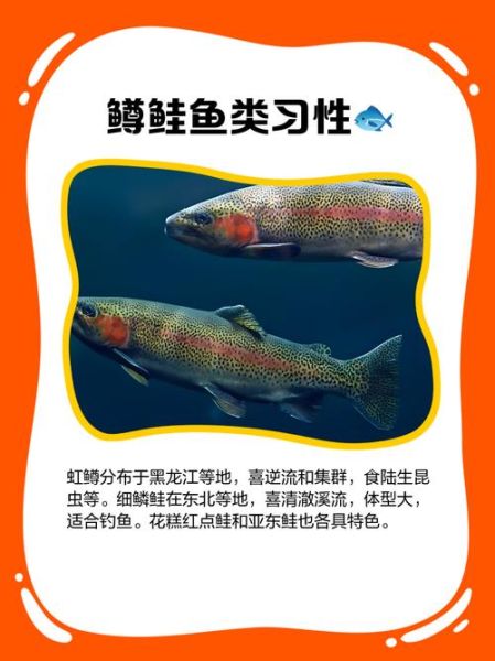 鲑鱼子微博是什么_如何正确食用鲑鱼子-第2张图片-山城妙识