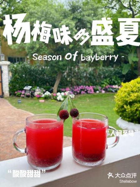 杨梅汁怎么做_杨梅汁视频教程-第1张图片-山城妙识