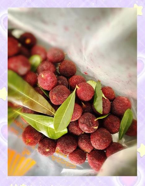 杨梅汁怎么做_杨梅汁视频教程-第3张图片-山城妙识