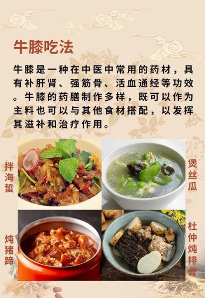 牛膝长什么样_牛膝图片如何辨别真假-第2张图片-山城妙识