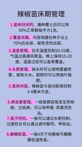 辣椒种植技术视频_辣椒育苗多久移栽-第3张图片-山城妙识 辣椒种植技术视频_辣椒育苗多久移栽-第3张图片-山城妙识