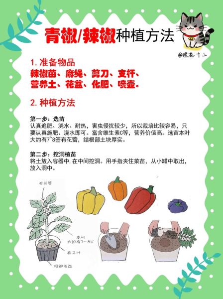 辣椒种植技术视频_辣椒育苗多久移栽-第1张图片-山城妙识 辣椒种植技术视频_辣椒育苗多久移栽-第1张图片-山城妙识