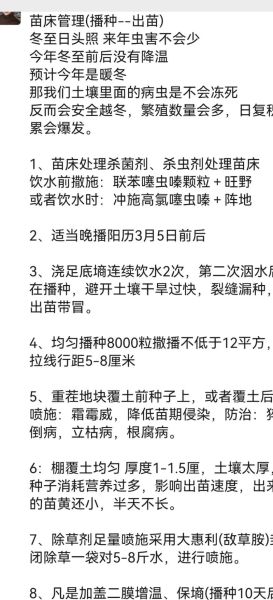 辣椒种植技术视频_辣椒育苗多久移栽-第2张图片-山城妙识 辣椒种植技术视频_辣椒育苗多久移栽-第2张图片-山城妙识