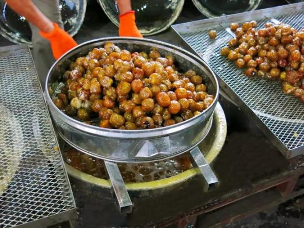 蜜枣怎么制作_蜜枣的制作方法全过程-第1张图片-山城妙识